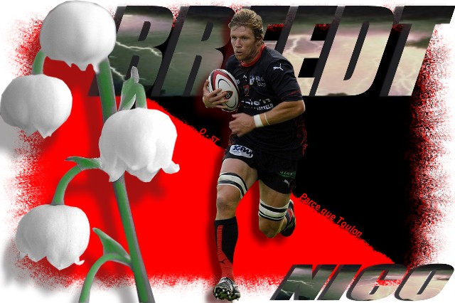 Nico Breedt vers Toulon ? - Blog RCT
