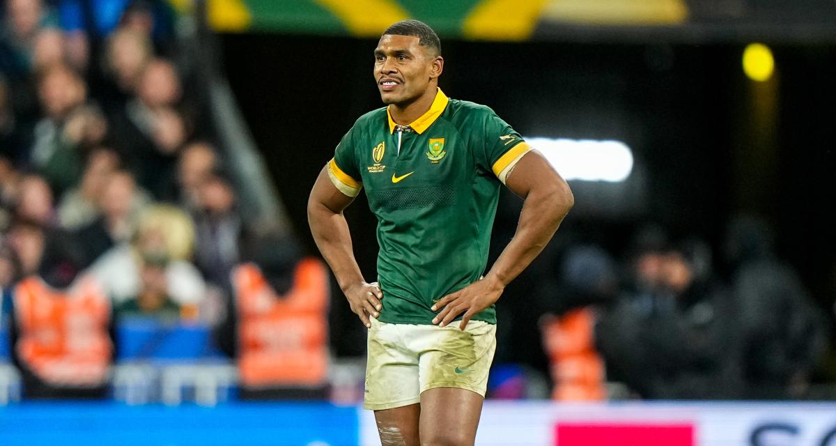 Le Springbok Damian Willemse pourrait débarquer en Europe ! - Blog RCT